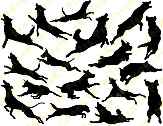 Dock Jumping Dogs Svg - Etsy