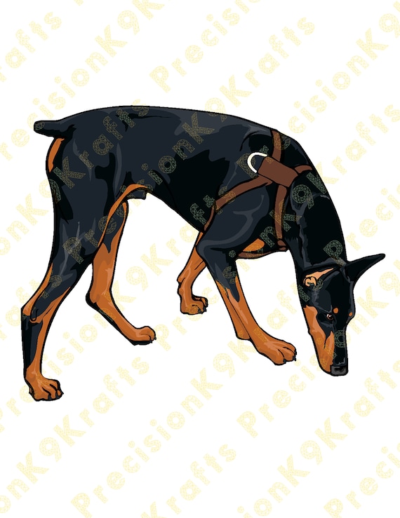 Doberman Pinscher in Tracking Harness Doberman Dobie - Etsy