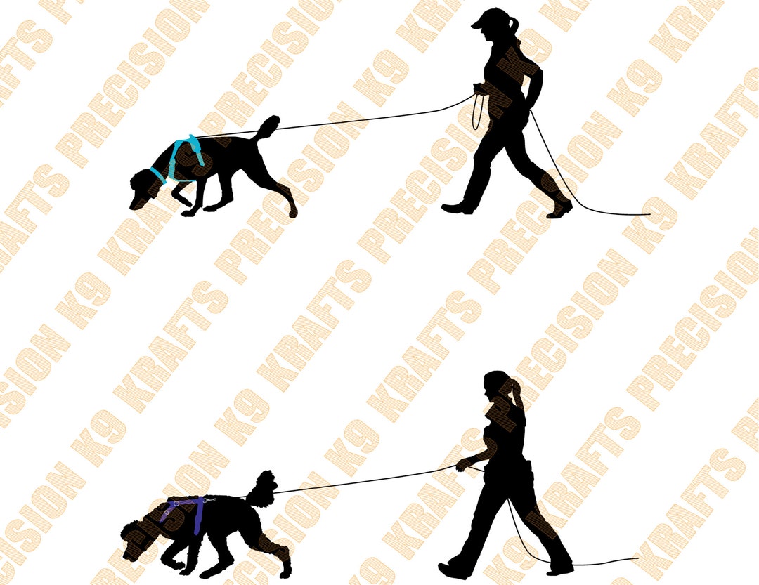 Standard Poodles Tracking, Scent Work, Nose Work, Tracking, Svg ...