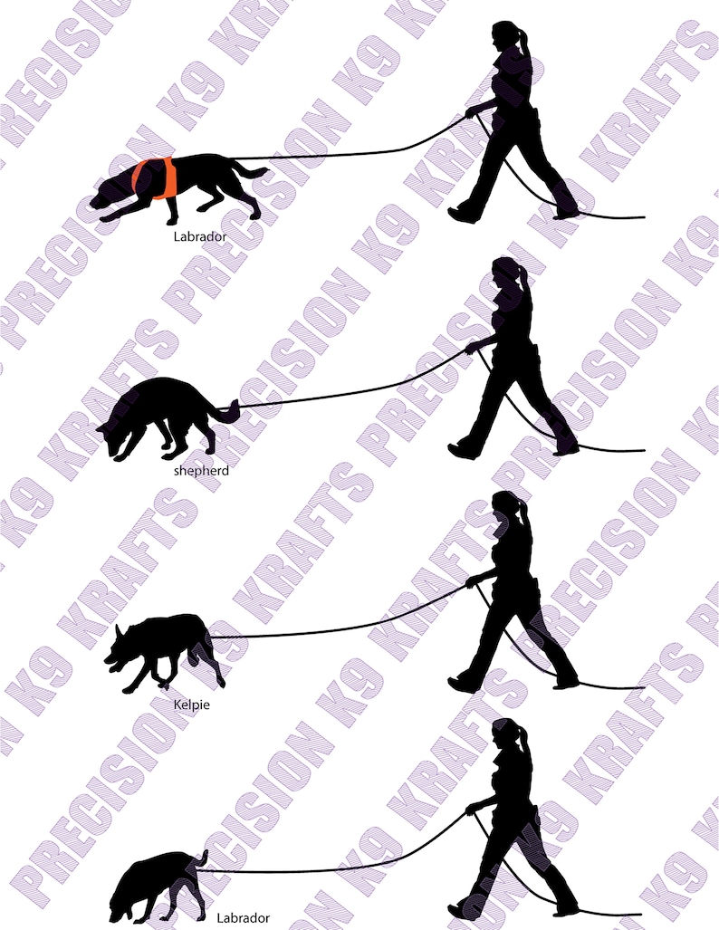 Tracking, Man Trailing, Scent Work, Nose Work, SVG, PNG, Ai, PDF ...