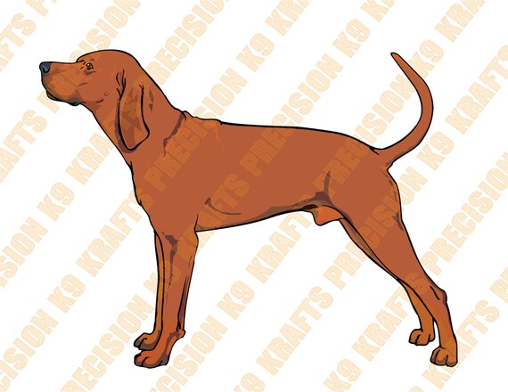 Redbone Coonhound Treeing Zeichnung Redbone Coonhound Dog Near The