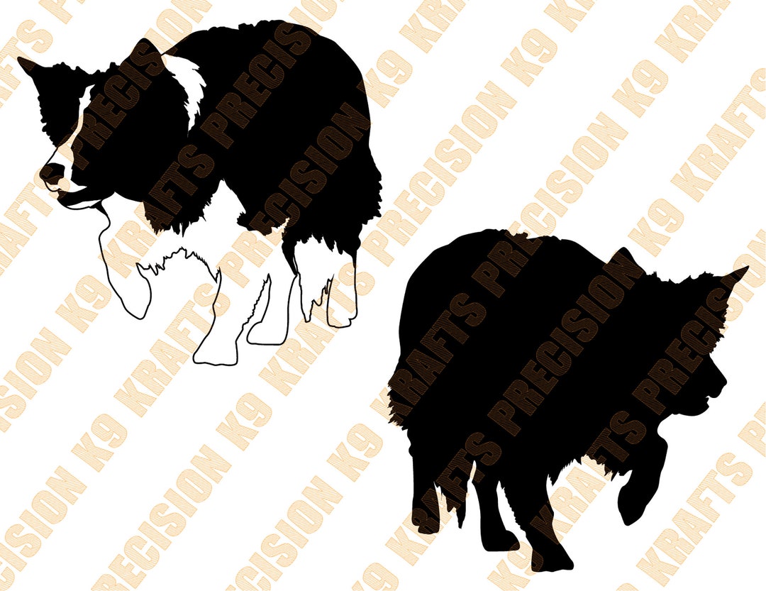 Border Collie, DXF, SVG, Ai, EPS, Png - Etsy