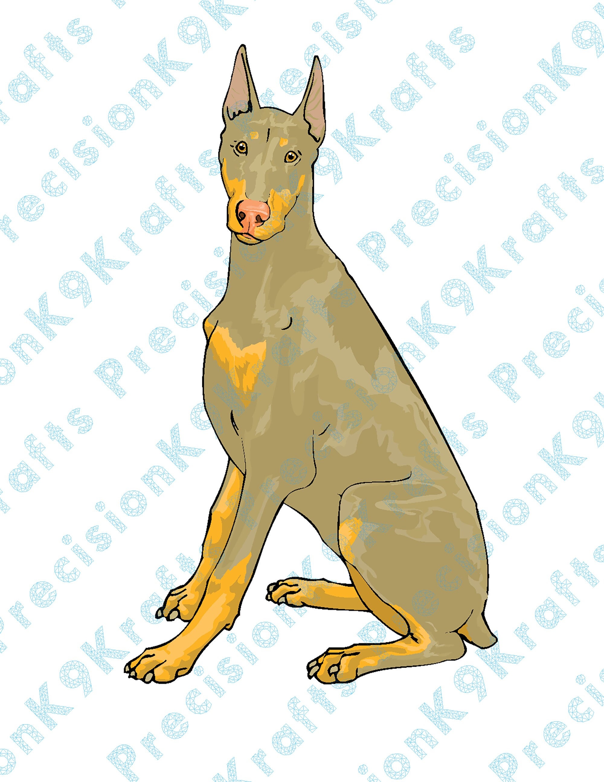 Fawn Doberman