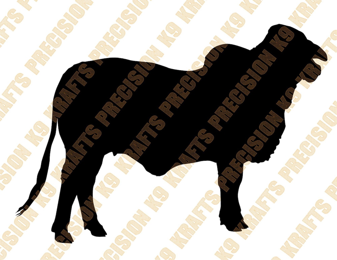 Brahman Cow, Cattle, Cow, Livestock, Png, Ai, PDF, DXF, SVG, - Etsy