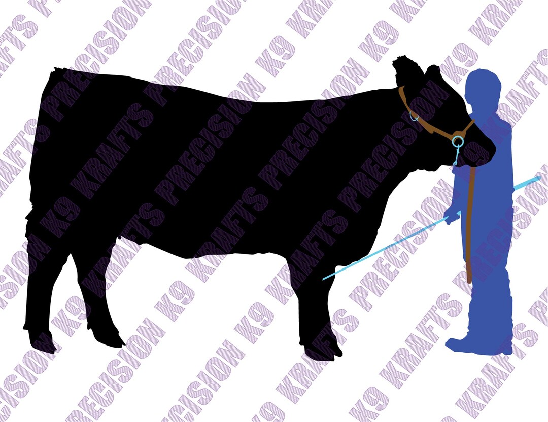 Junior Showmanship, Black Angus, Beef Cattle, Youth Handler, DXF, PNG ...