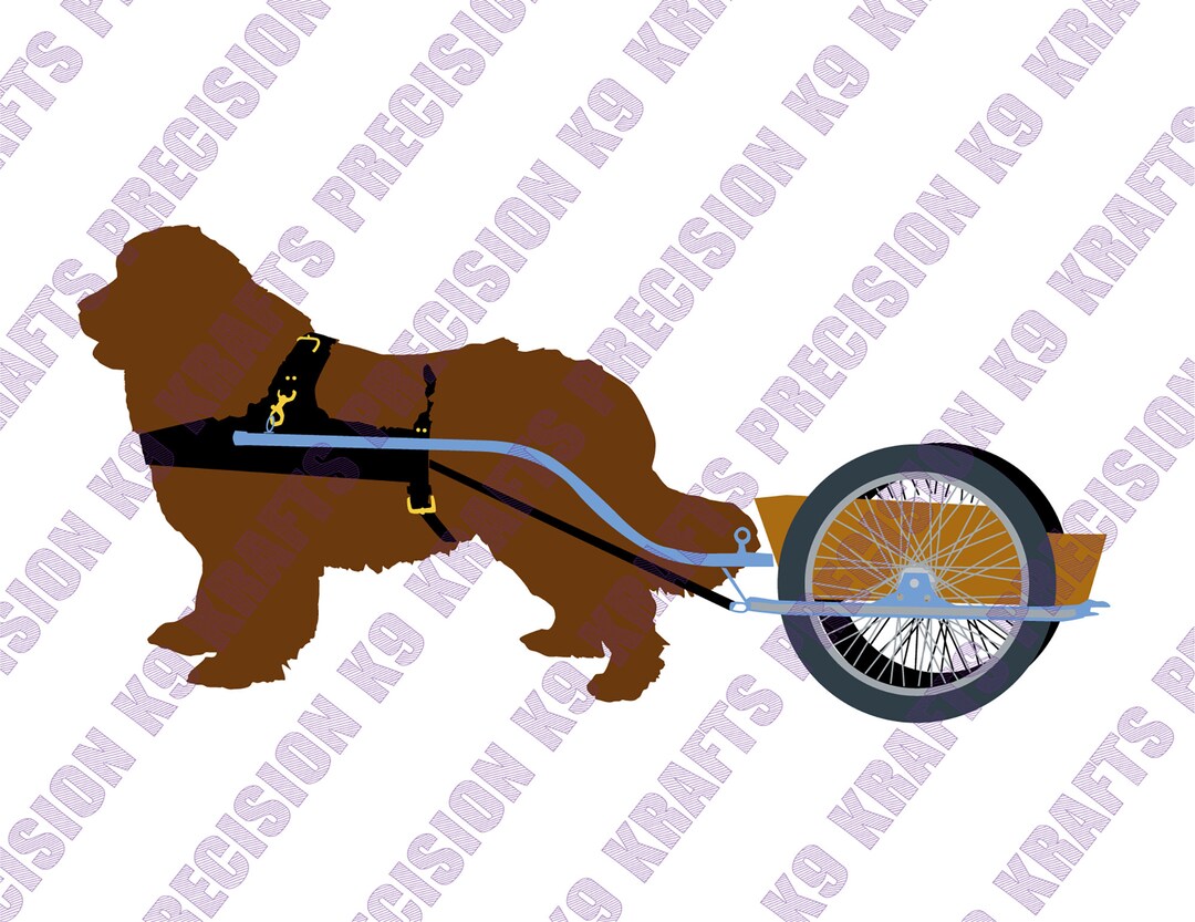 Newfoundland, Newfie, Carting, Draft Dog, Working Breed, SVG, Ai, PDF ...