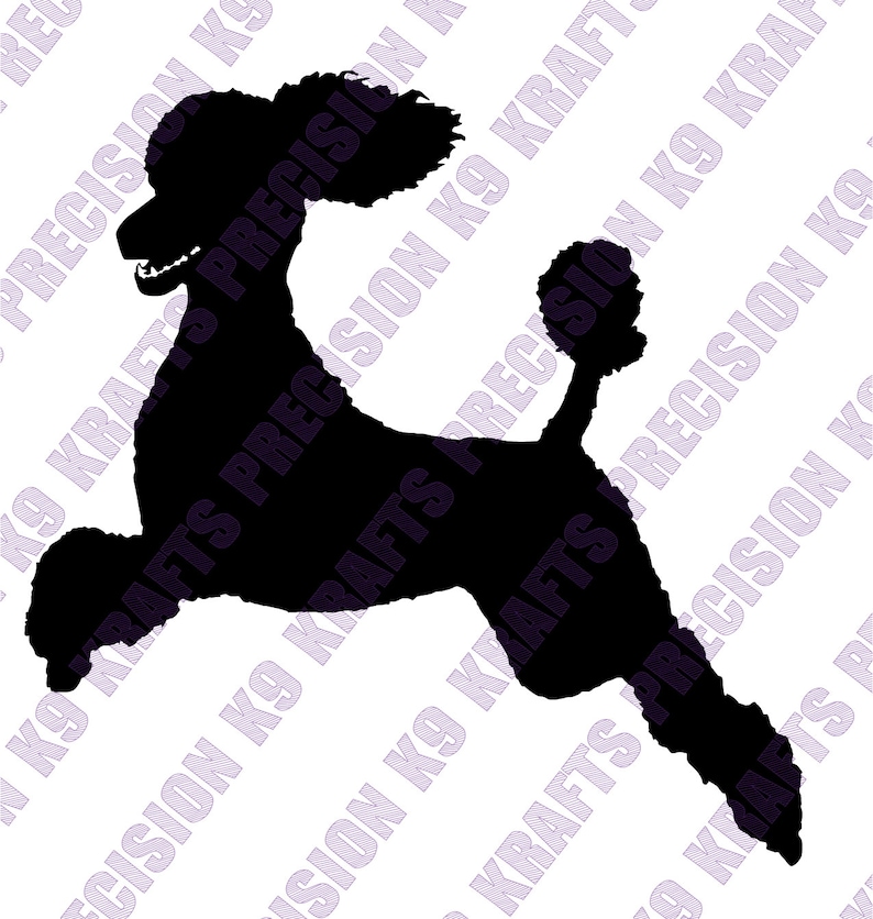 Standard Poodle, Running, Hunting Poodle, Water Dog, Jumping, SVG, PNG ...