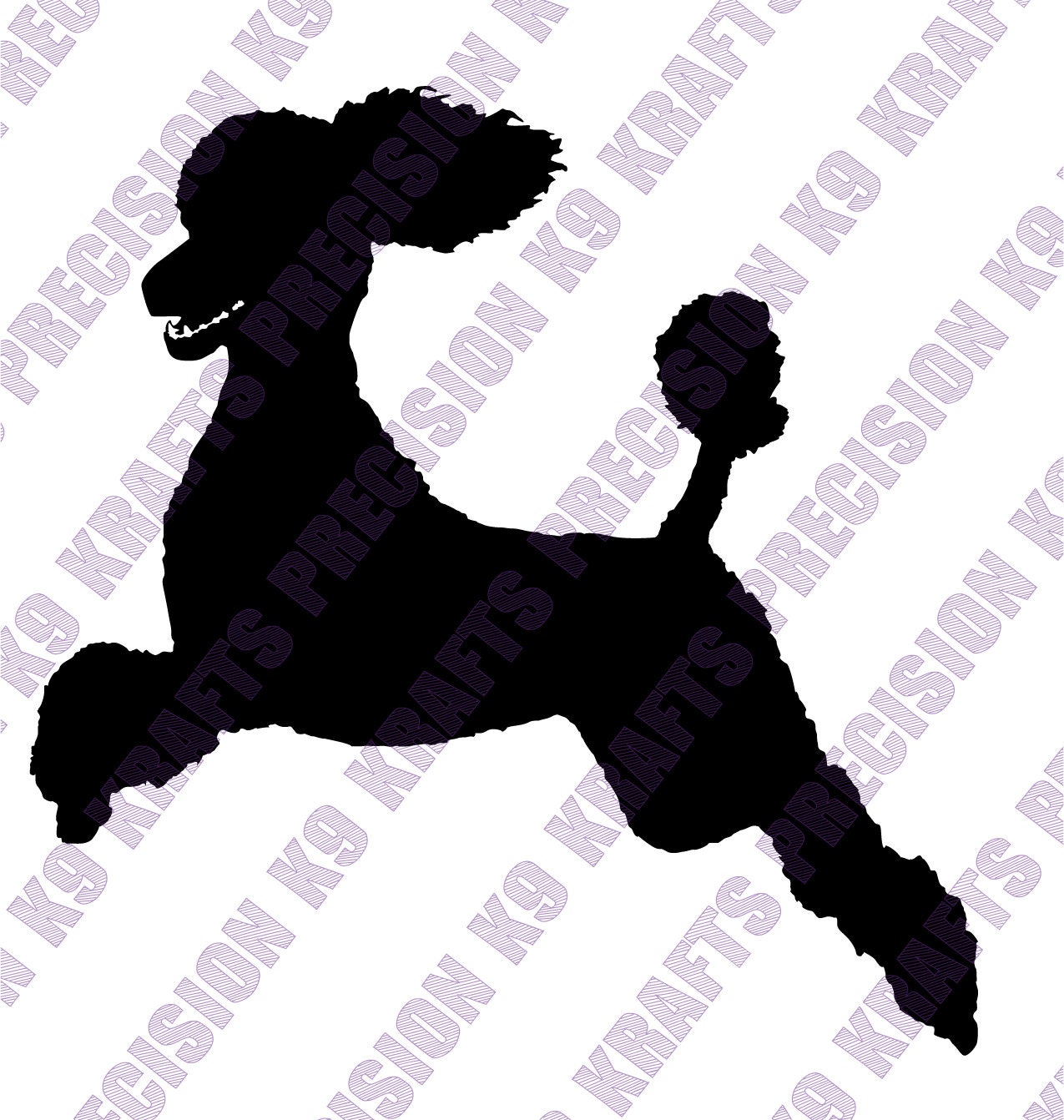 Standard Poodle, Running, Hunting Poodle, Water Dog, Jumping, SVG, PNG ...