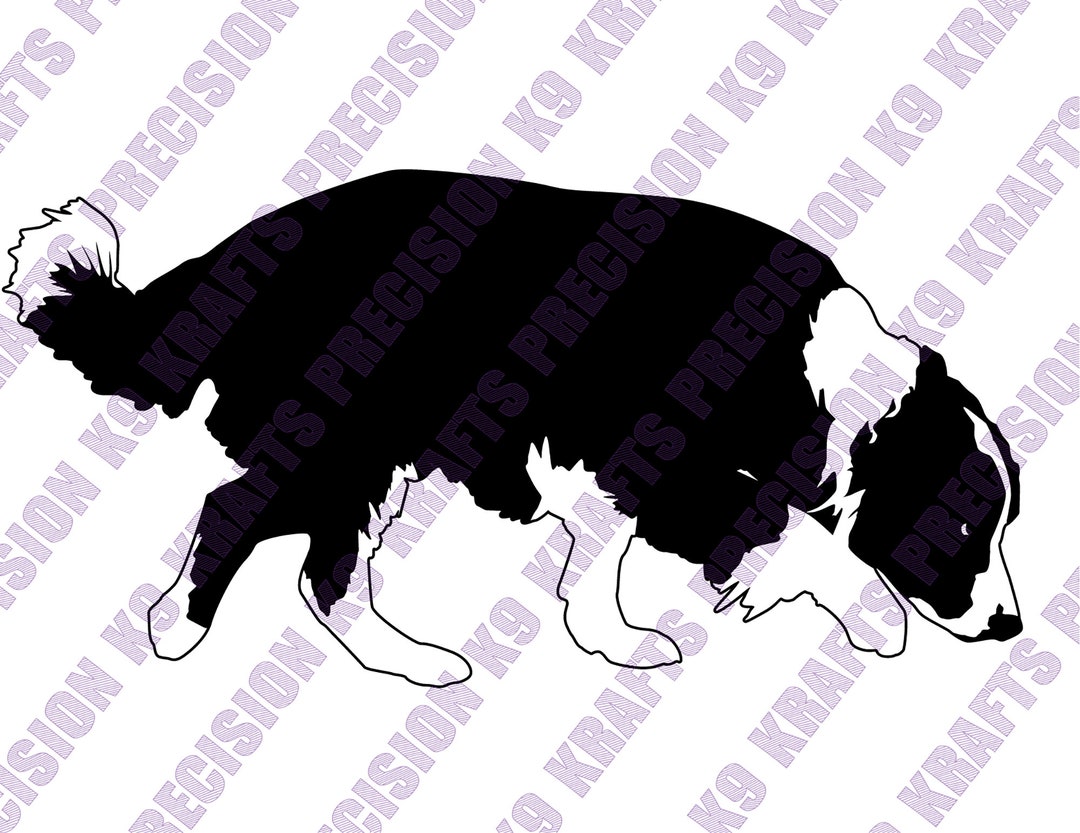 Border Collie, Tracking, Man Trailing, Scent Work, Nose Work, SVG, PNG ...