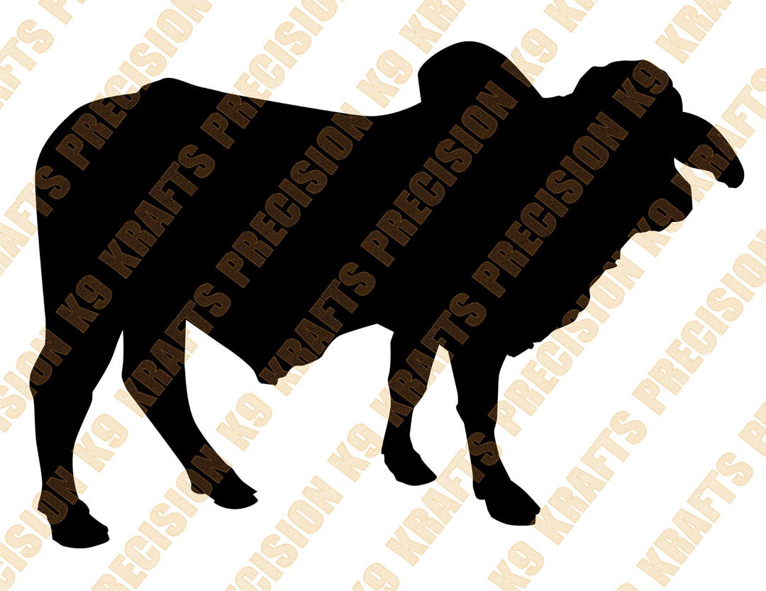 Brahman Bull, Cattle, Calf, Livestock, Png, Ai, PDF, DXF, SVG, - Etsy