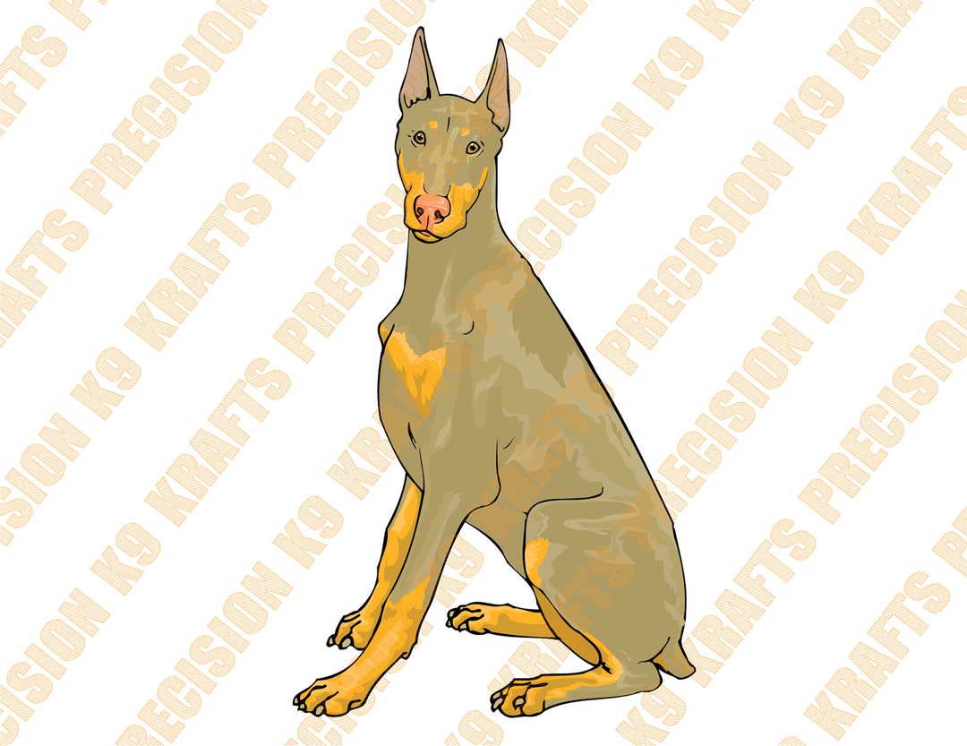 Fawn Doberman Pinscher, Isabella Doberman, Dobie, DXF,SVG, EPS, Ppng, A ...