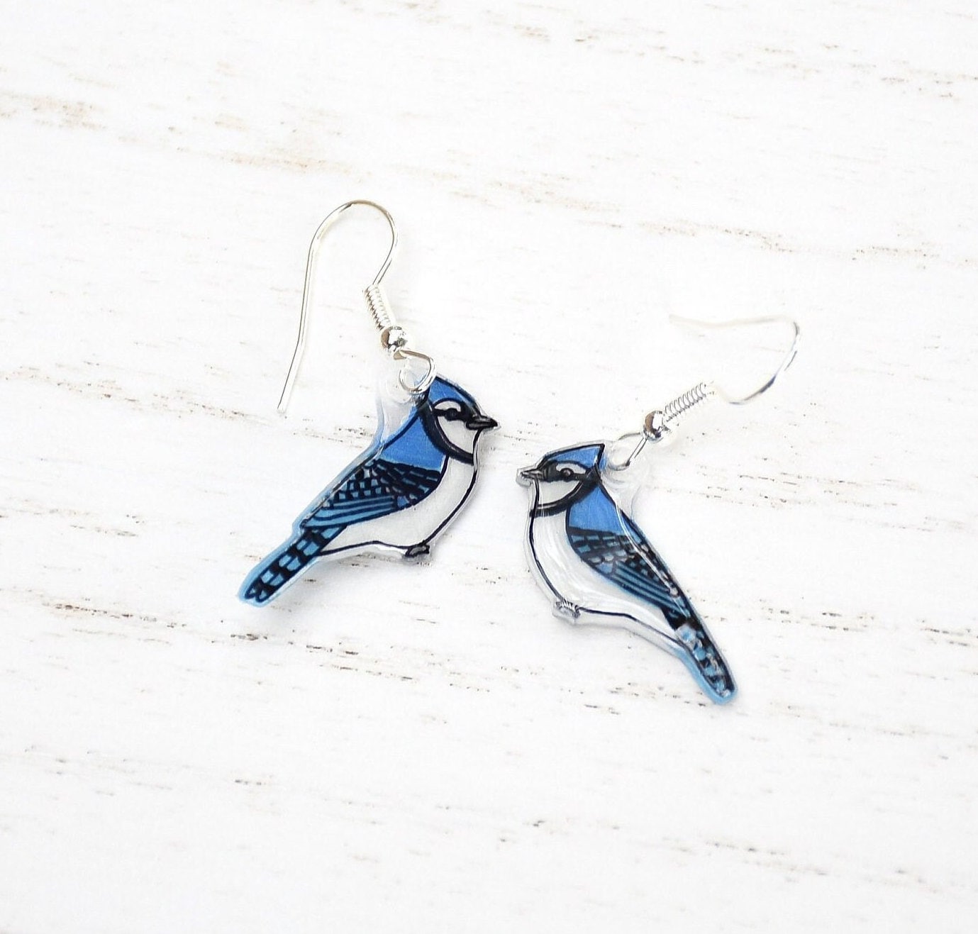 Blue Jay Earrings, Bird Earrings, Dangle & Drop, Handmade Earrings ...