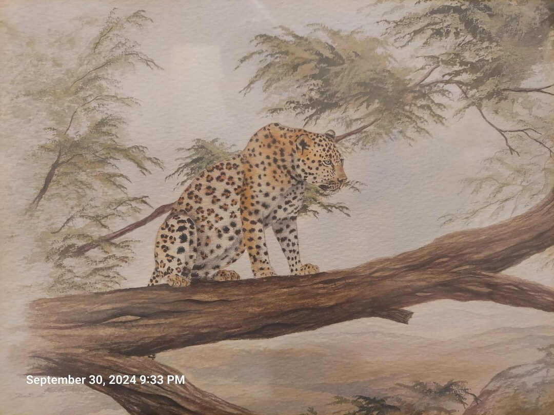 Susan M Hall-african Wildlife Artist-original Watercolors-set of Two ...