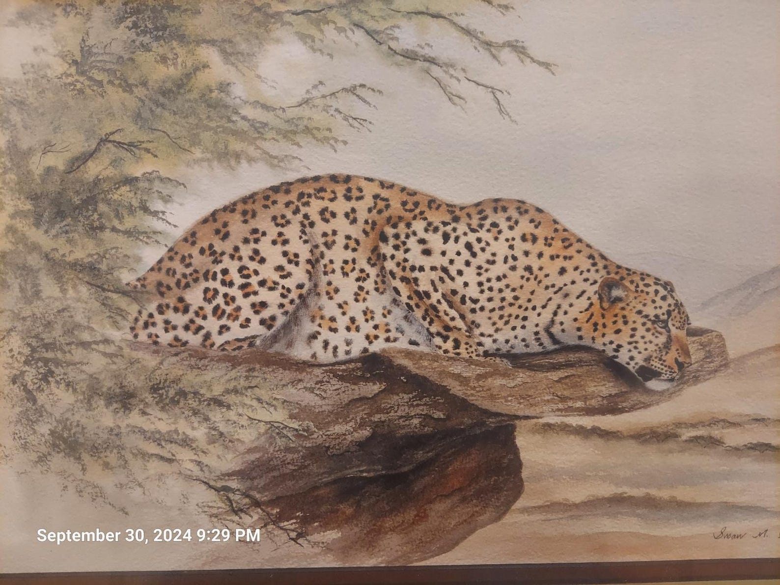 Susan M Hall-african Wildlife Artist-original Watercolors-set of Two ...