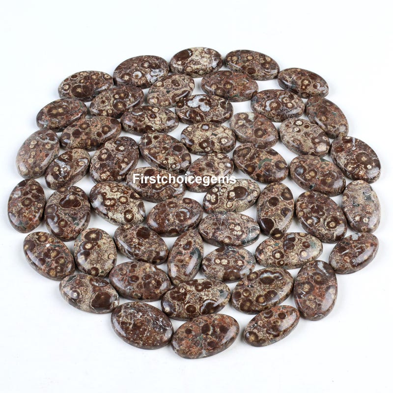 Crocodile Jasper Cabochon - Etsy