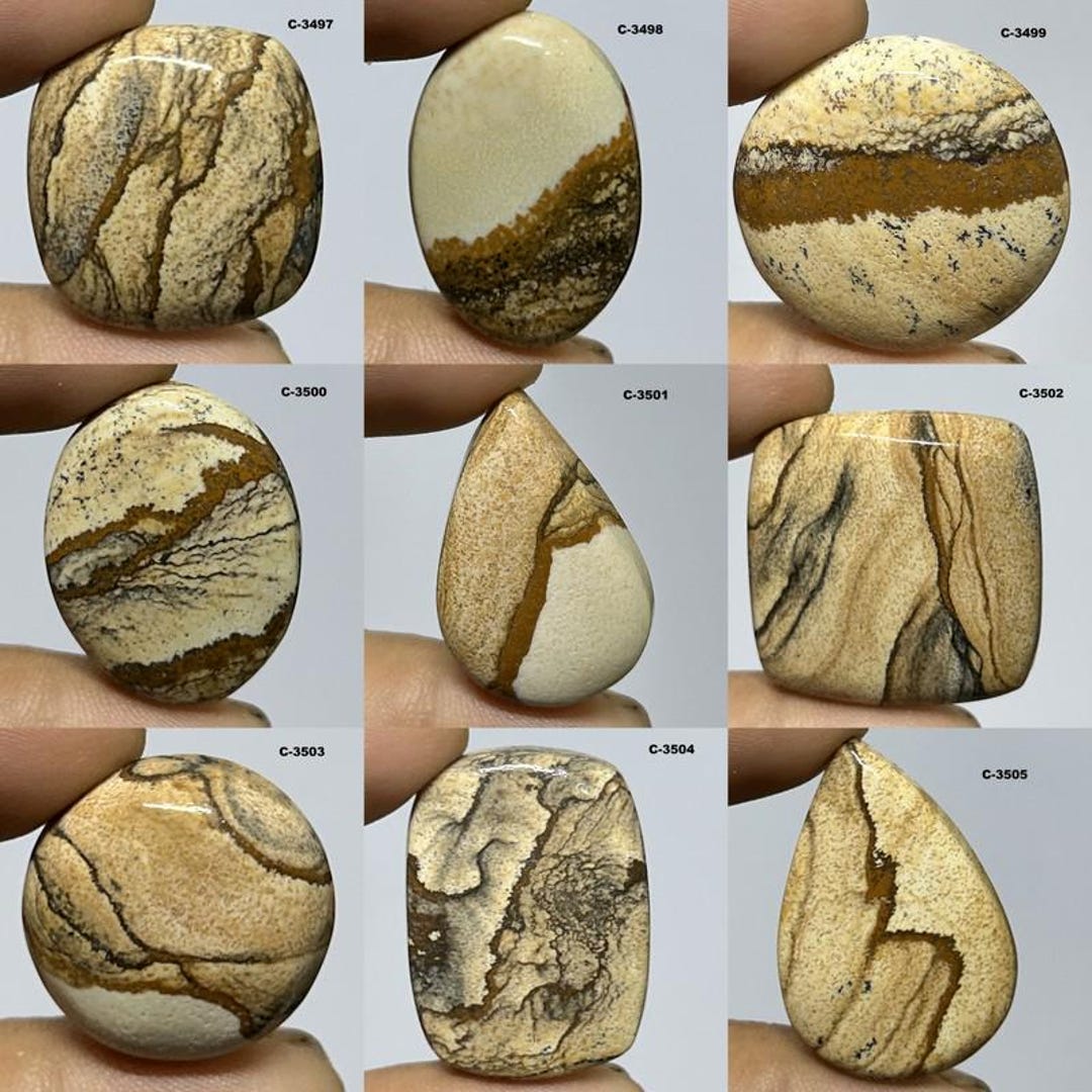 Picture Jasper Gemstone - Attractive Picture Jasper Gemstones for ...