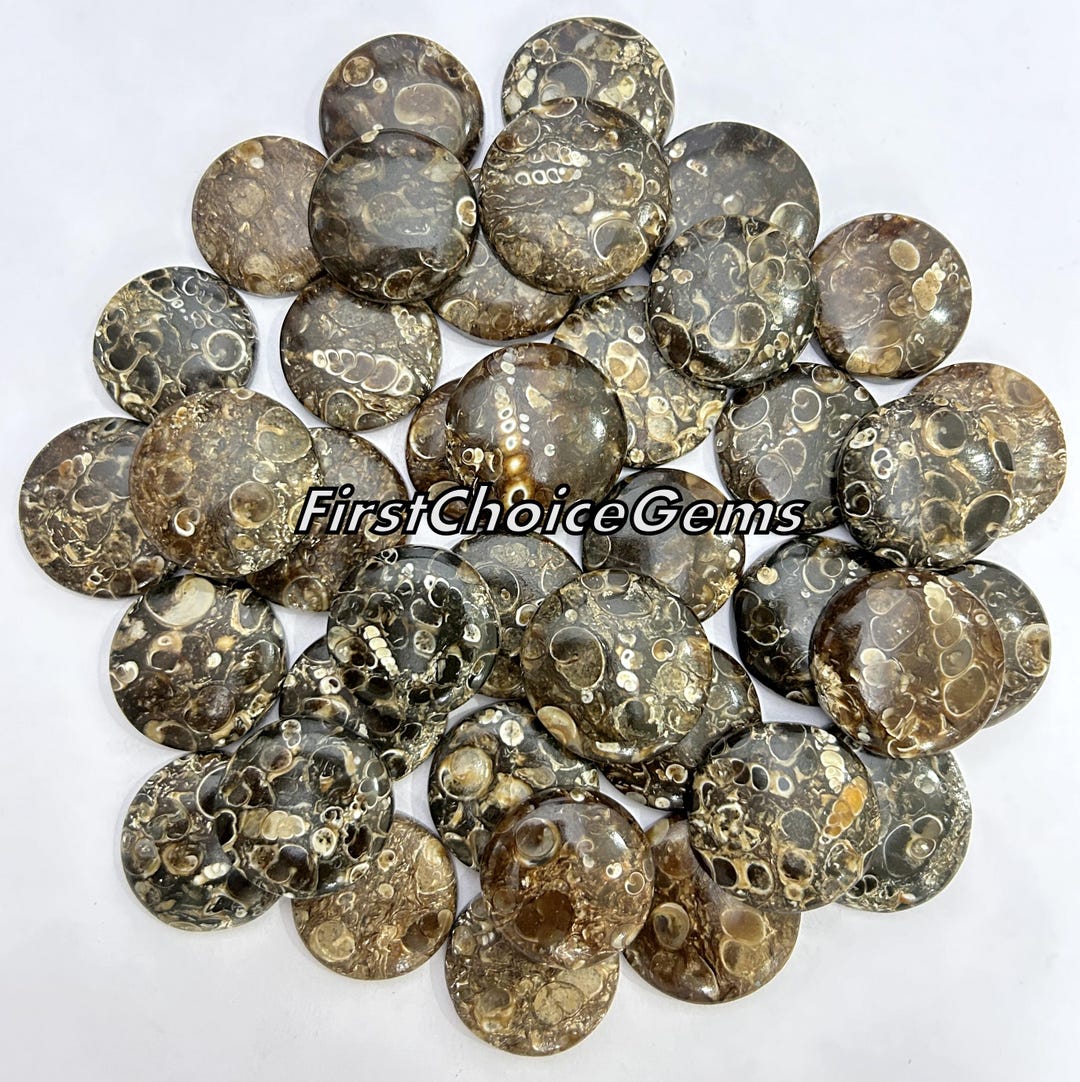 Turritella Healing Chakras Stone Turritella Agate Rounds LOT, Both Side ...