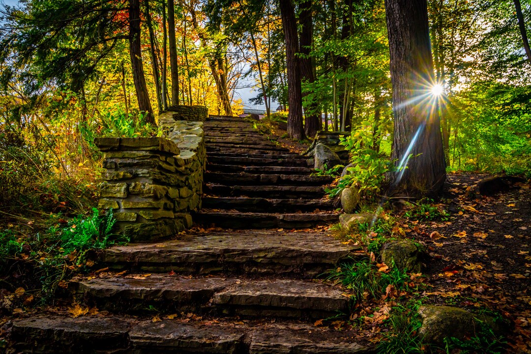 Steps at Letchworth State Park- Nature- Sunburst Through Tree - Etsy