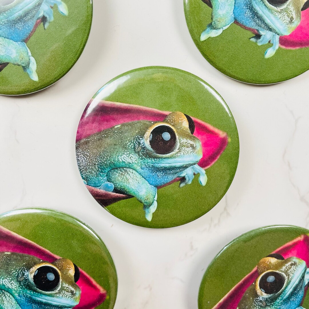 Cute Frog Button Frog Pin Back Button Animal Pin Animal Button Cute ...