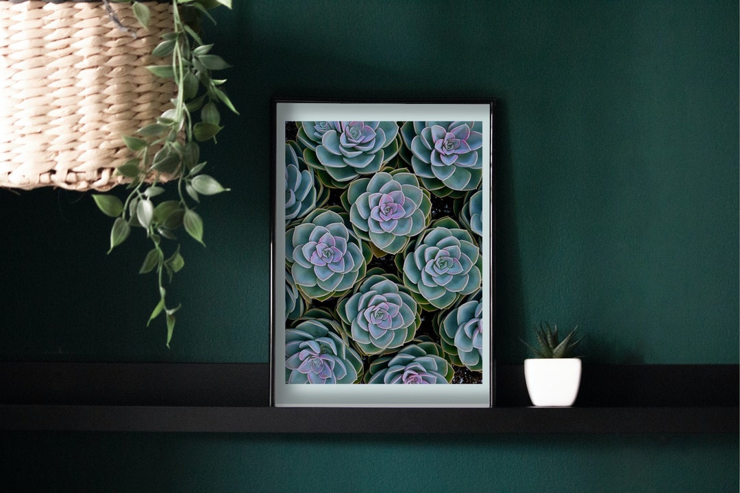 Succulent Printable Art, Digital Download, Botanical Digital Print ...