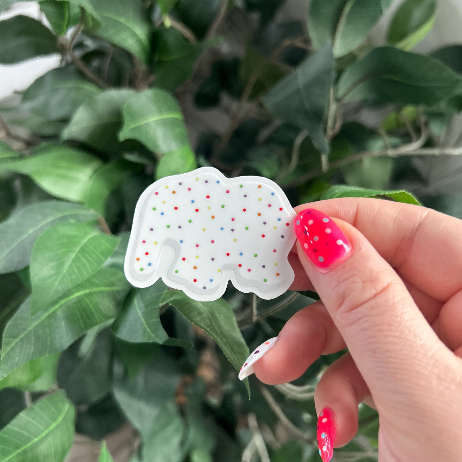 Frosted and Sprinkled Circus Animal Cookies | Animal Cookies | Frosted ...