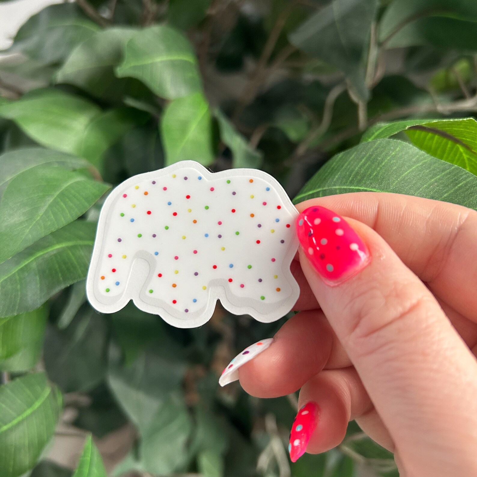 Frosted and Sprinkled Circus Animal Cookies | Animal Cookies | Frosted ...