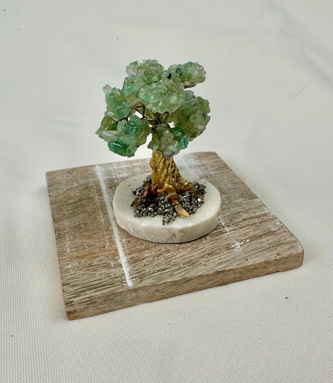 Mini Jade Tree - Etsy