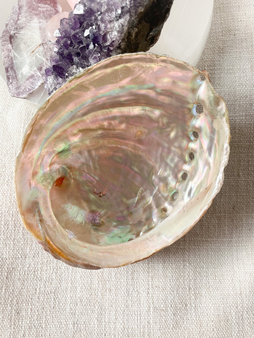 Mermaid Unique Abalone Shell | Seashell Burner | Smudging Bowl - Etsy