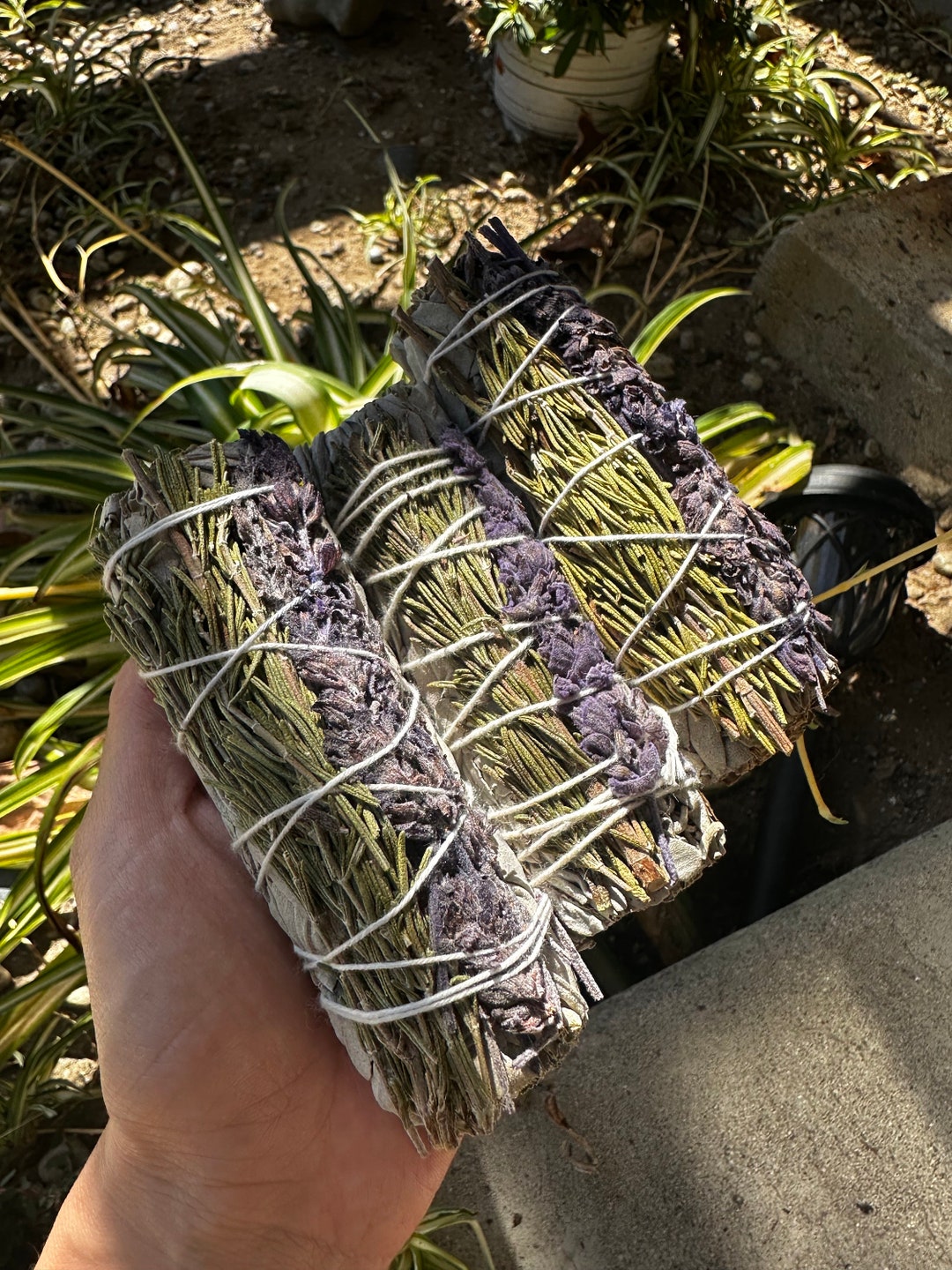 Rosemary Lavender and Sage Smudge Stick, Purification and Positive ...