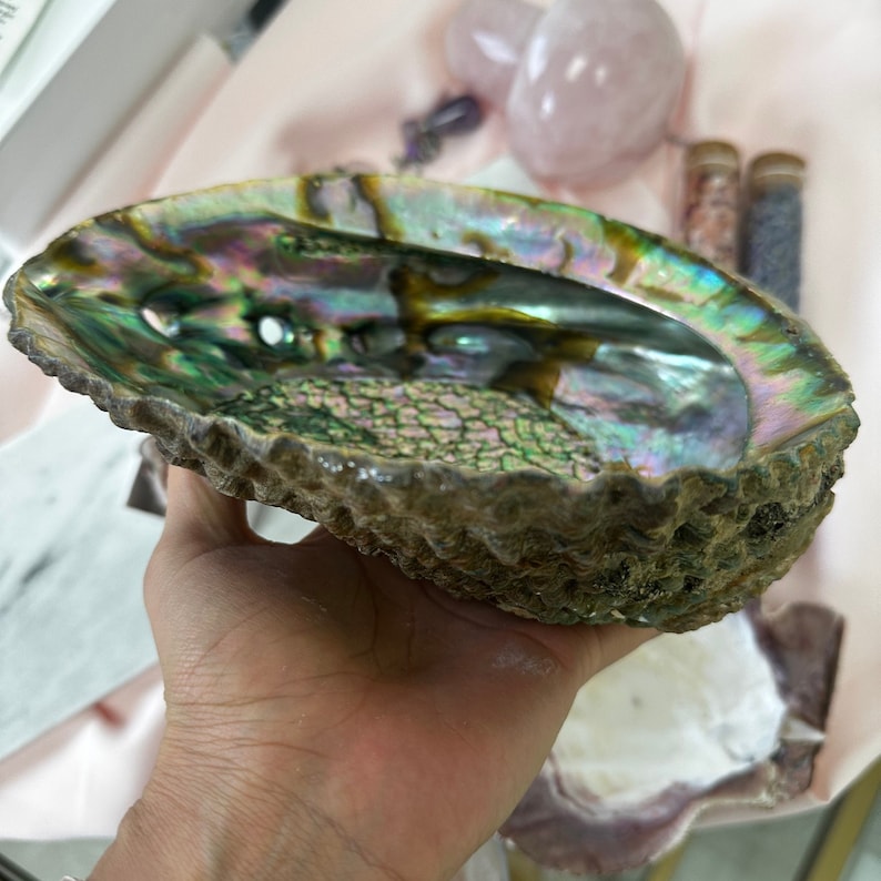 Large Beautiful Abalone Shell Made for Smudging or Decor - Etsy