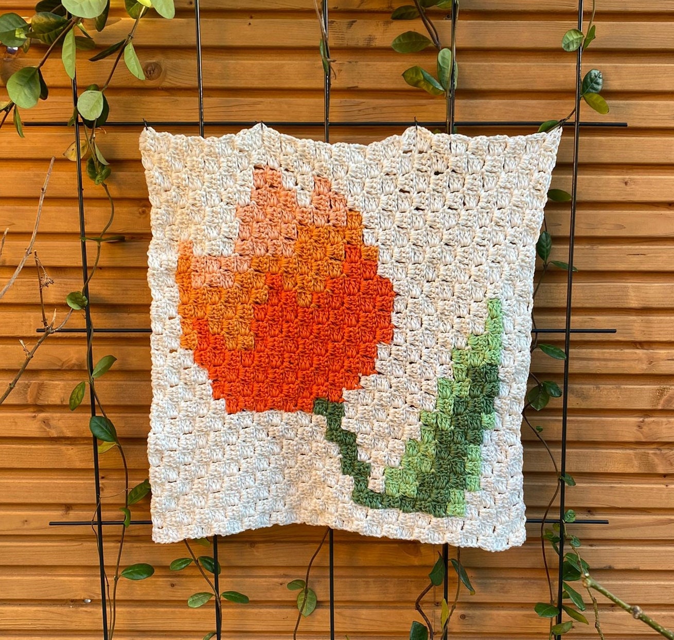 Tulip Square C2C Crochet Pattern - Etsy