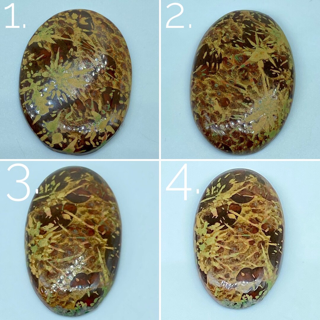 Natural Starburst Jasper, Starburst Jasper,smooth Polish Cabochon ...
