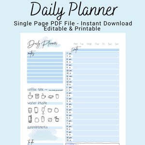 Editable PDF Daily Planner Printable & Editable Professional Daily ...