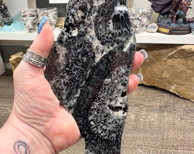 Orbicular Granite Slab From Australia - Etsy
