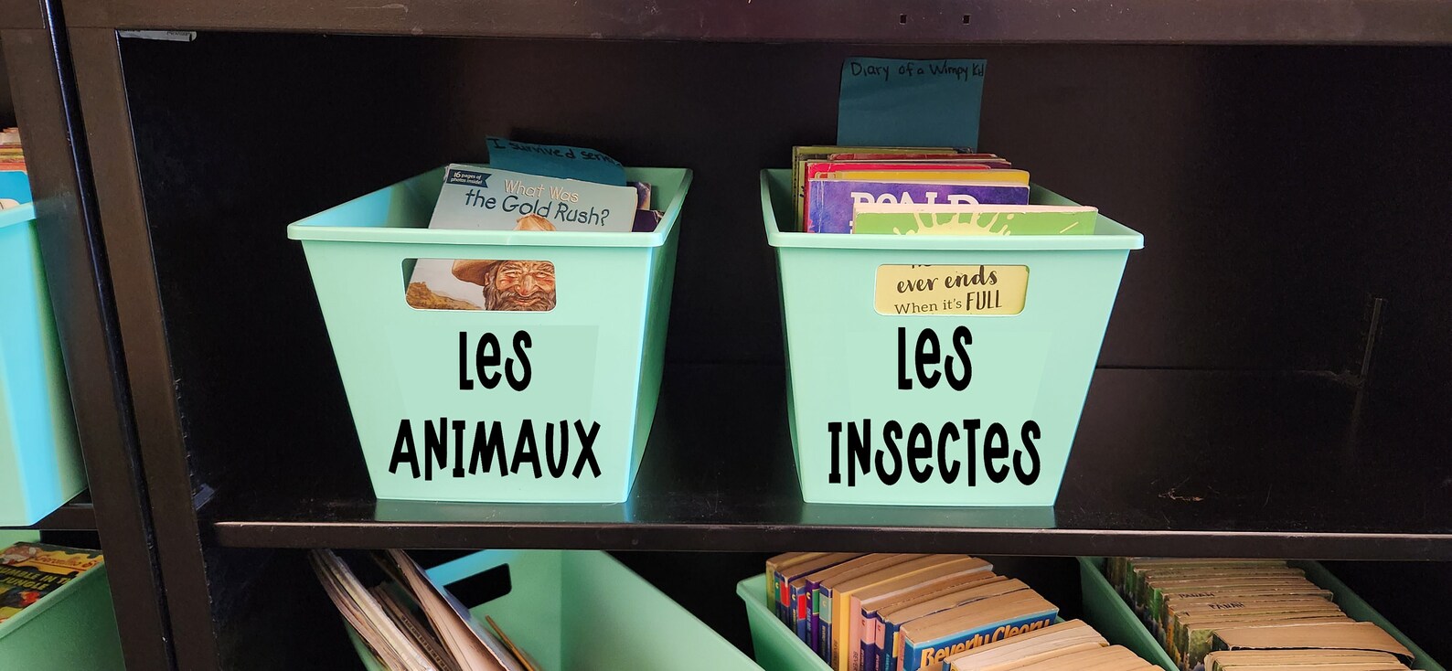 Vinyl Book Bin Labels: French Classroom Organization - Etsy