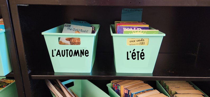 Vinyl Book Bin Labels: French Classroom Organization - Etsy