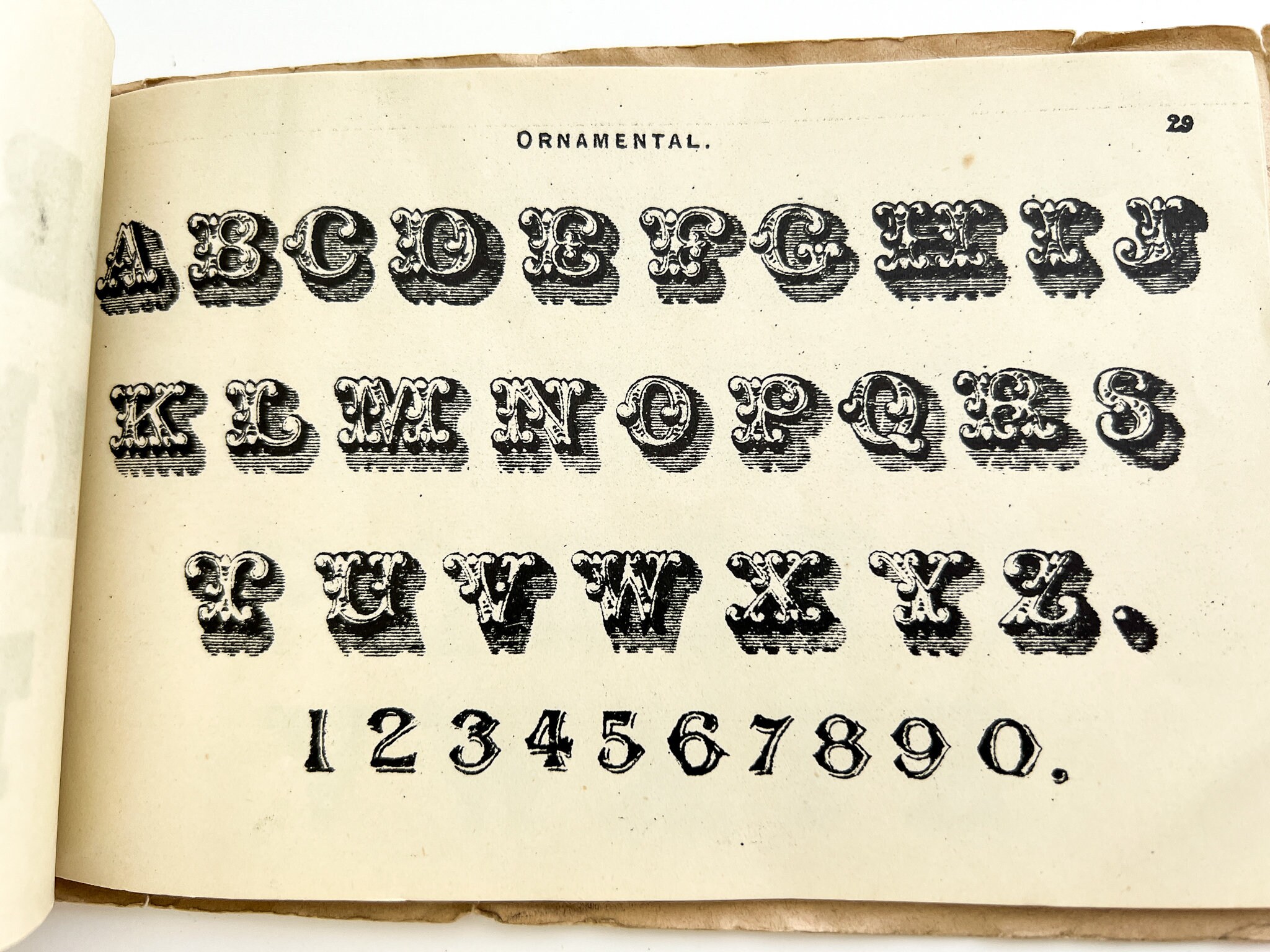 C. 1880s ornamental Penman's, Engravers, Sign Writers, Draughtsmen ...