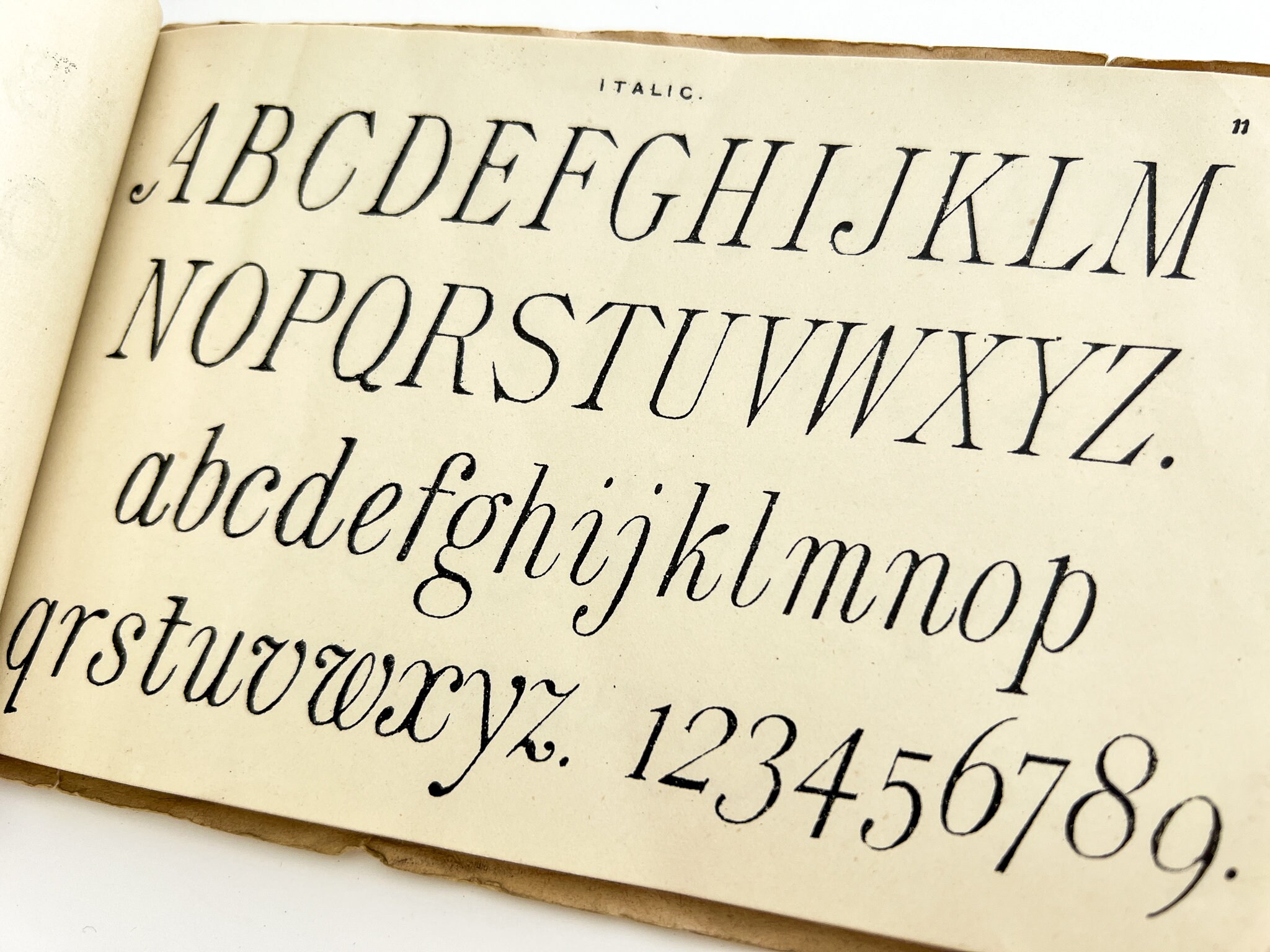 C. 1880s ornamental Penman's, Engravers, Sign Writers, Draughtsmen ...