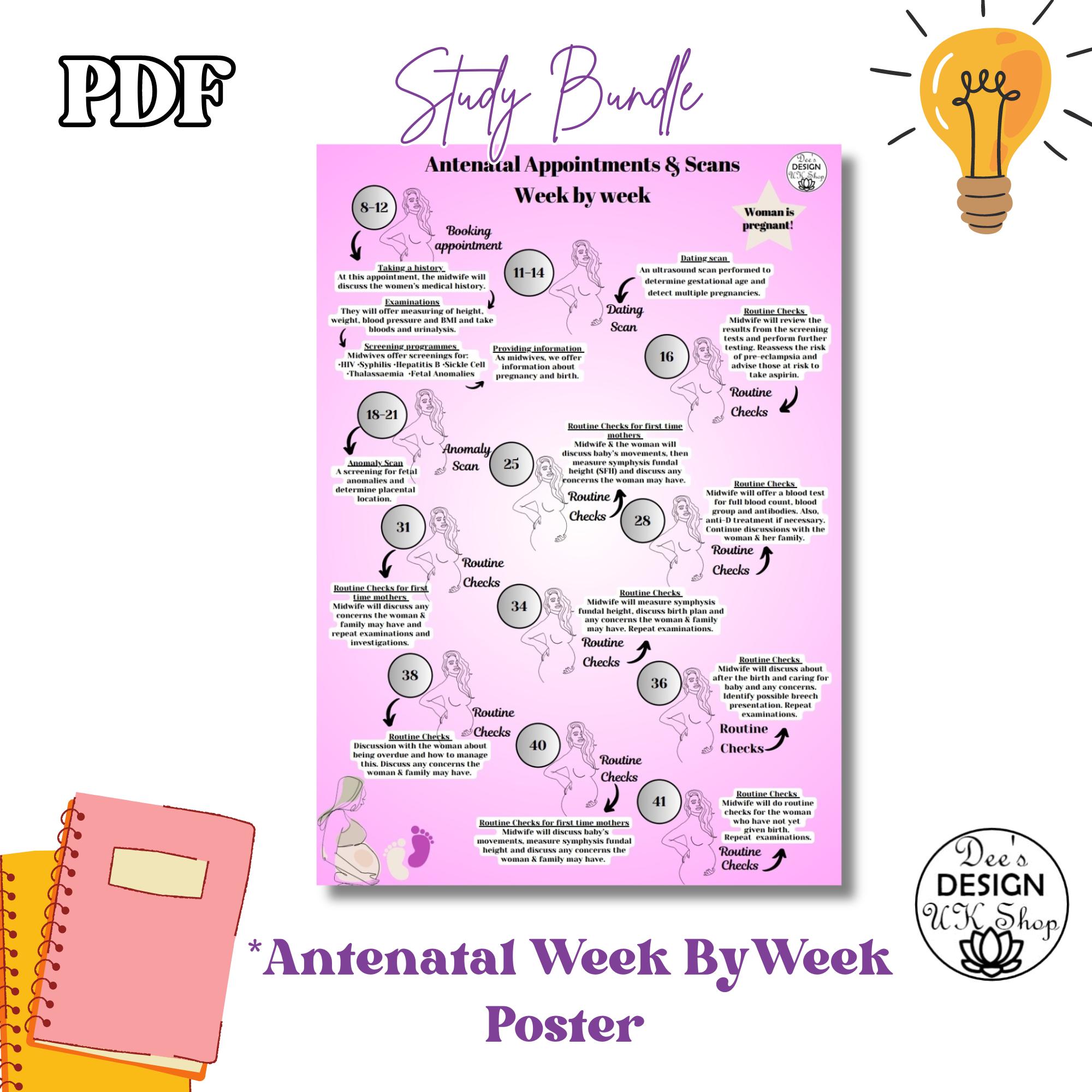 Midwifery Student Study Bundle: Pocket Guides & Posters (12 PDF Files ...