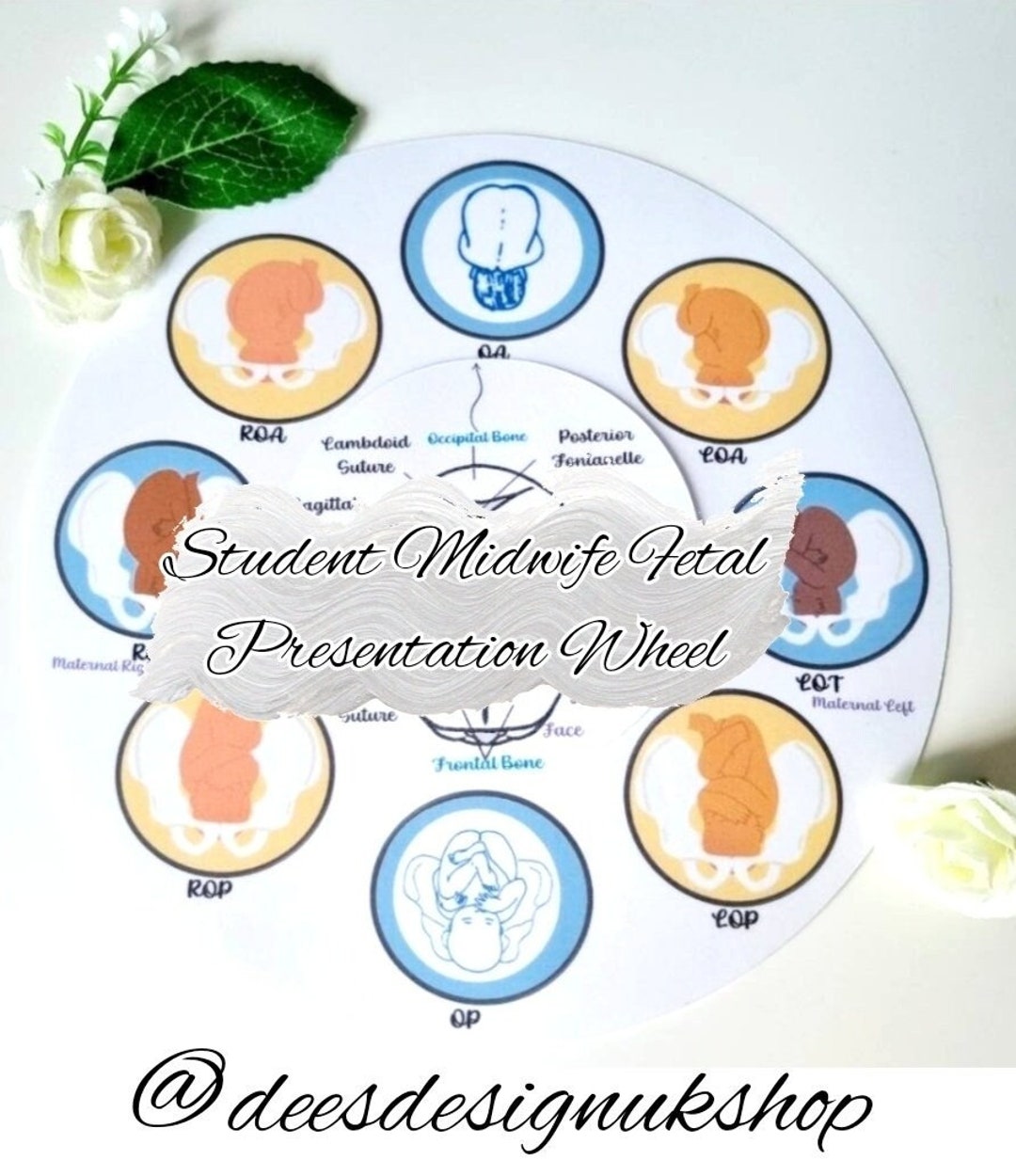 FETAL PRESENTATION WHEEL Position Wheel Fetal Lie Doula Student Midwife and Midwive Essentials ...