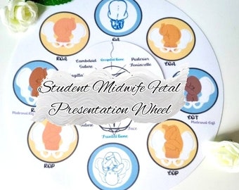 Student Midwife Fetal Position Wheel - Etsy