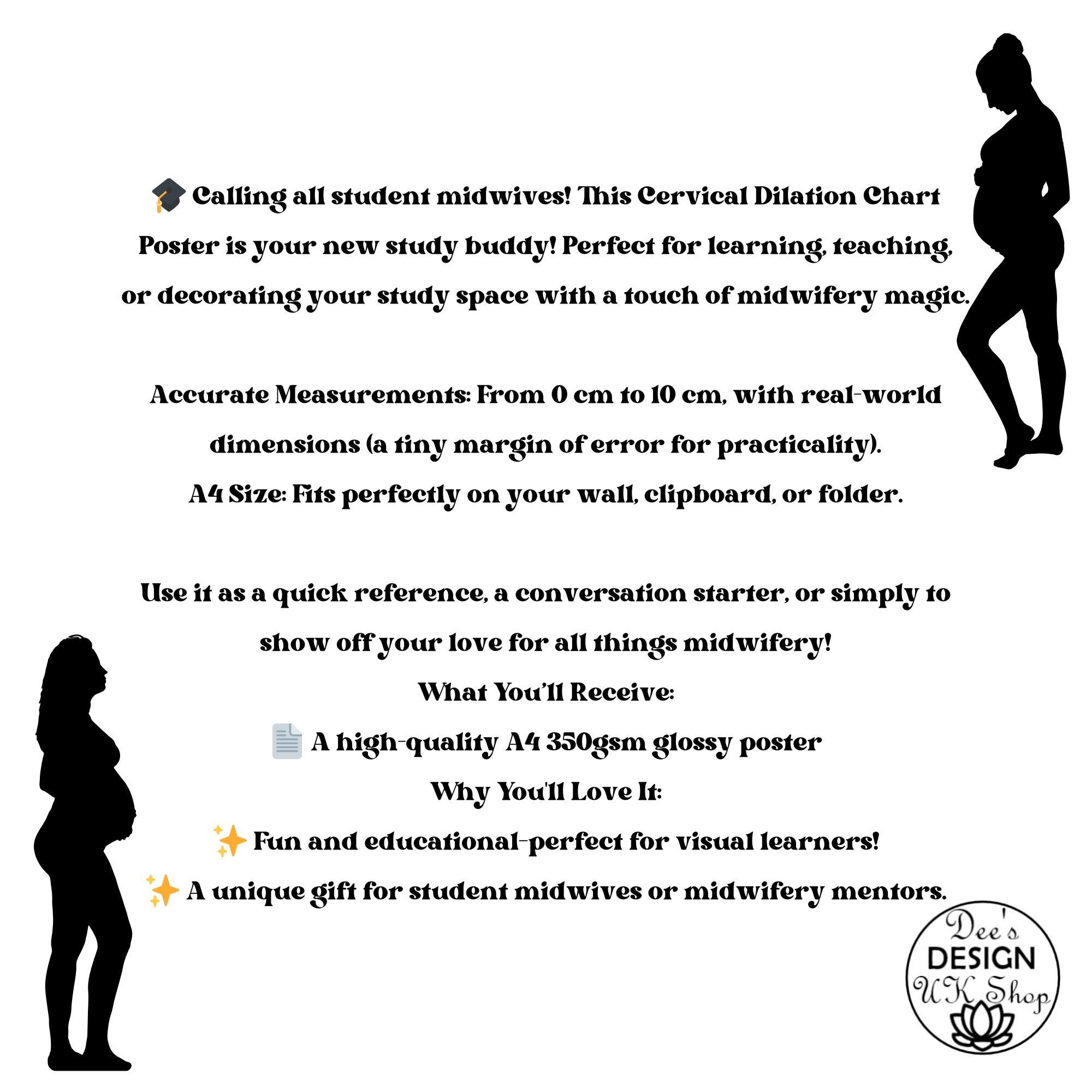 CERVICAL DILATION POSTER: Visual Study Room Tool, Midwifery Student ...