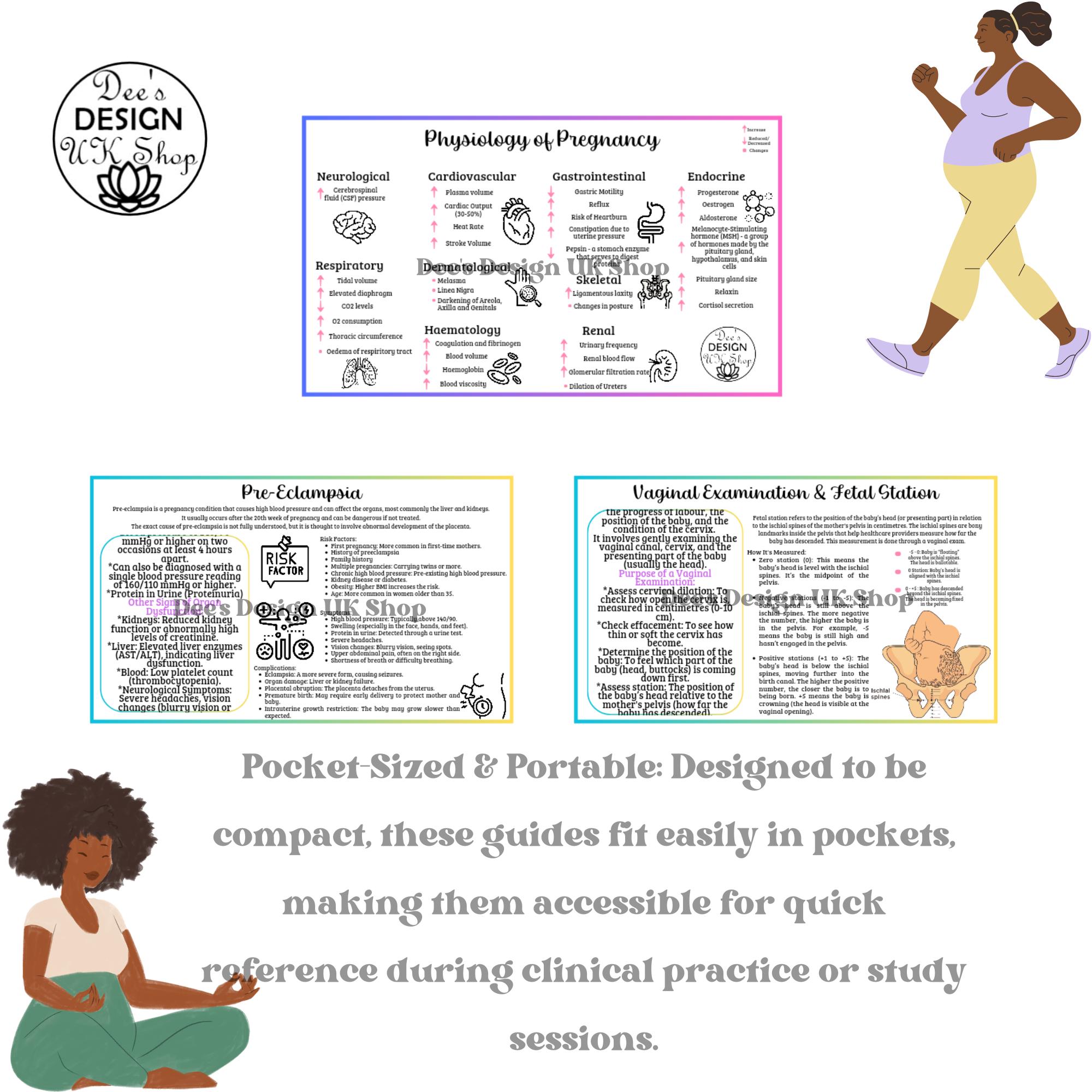 MIDWIFERY REFERENCE CARDS: Antenatal Pregnancy Learning, 16 Pocket ...