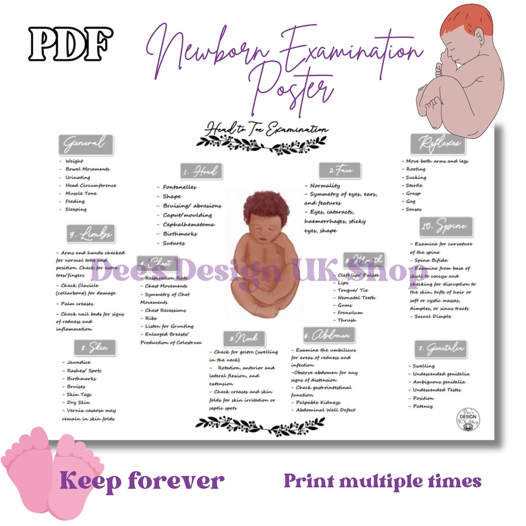 MATERNITY EXAMINATION POSTER Template Head to Toe Poster, Midwifery ...