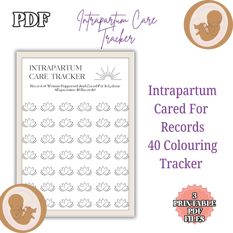 PRINTABLE INTRAPARTUM CARE Tracker, Emora Log Tool, A4, Midwifery ...