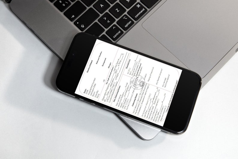 LABOUR HANDOVER SHEETS Digital Midwifery Triage and Labour Ward ...