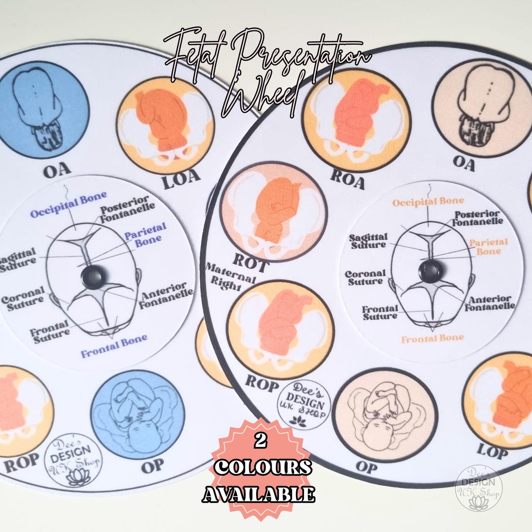FETAL PRESENTATION WHEEL Position Wheel - Fetal Lie - Student Midwife ...