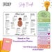 Midwifery Student Study Bundle: Pocket Guides & Posters (12 PDF Files ...