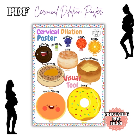 Cervical Effacement Dilation Cervical Dilation Chart Student