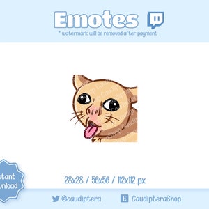 Drawing & Illustration Streamer Steam WTF Discord Chat Emote Twitch Cat ...